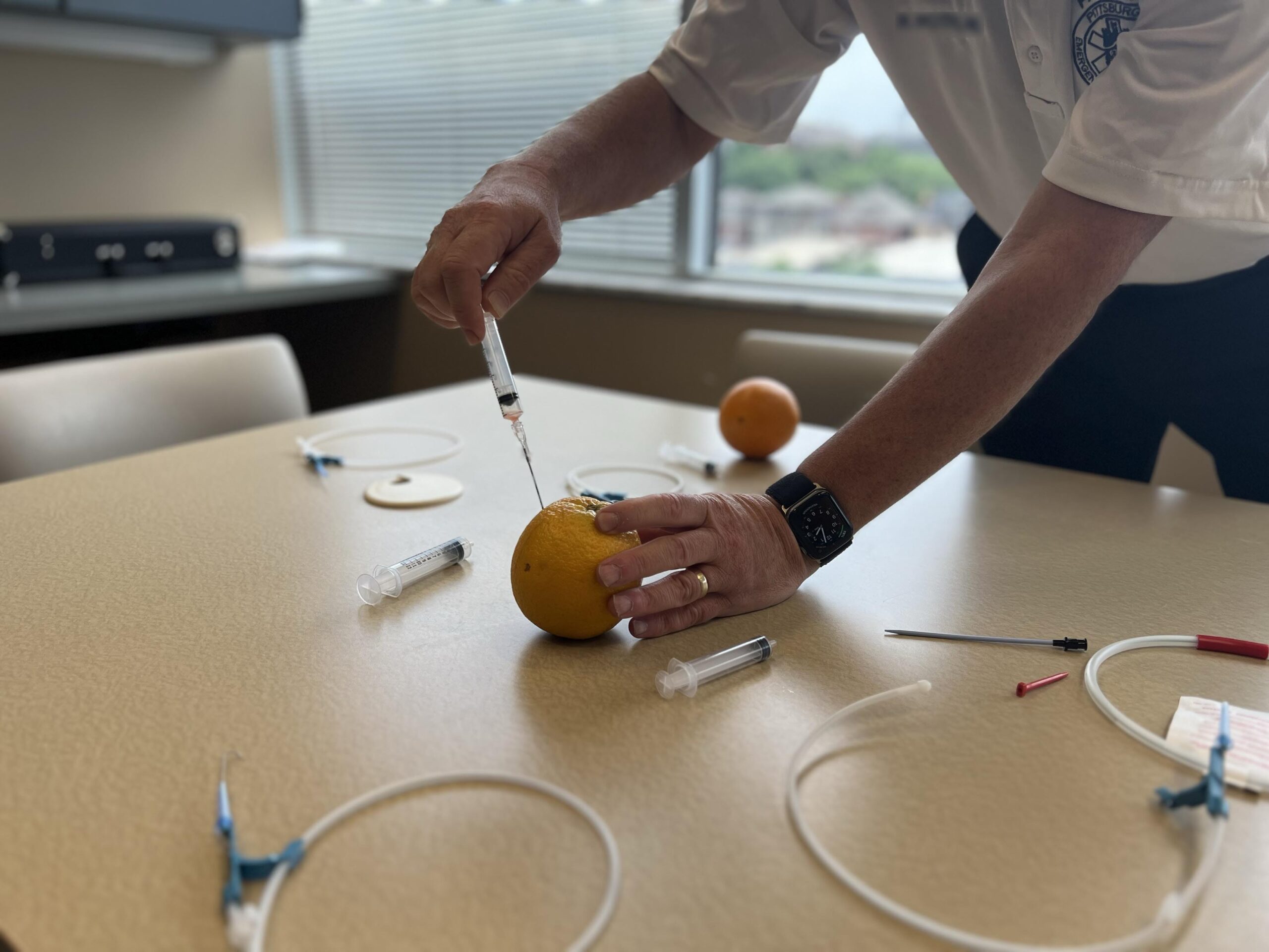 Utilizing Fruit as Task Trainers - WISER